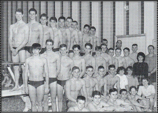 1990, 1991, 1992 NPHS BOYS SWIMMING AND DIVING TEAMS | Knight Site